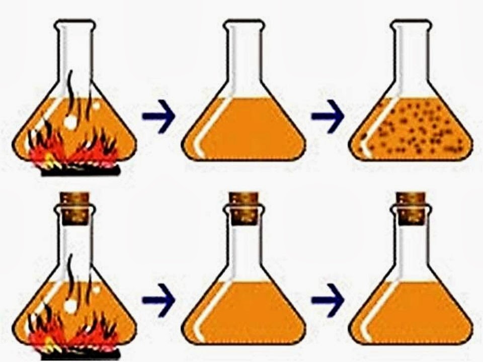 Professor Jimmy Oliveira: TEORIA DA BIOGÊNESE vs TEORIA DA ABIOGÊNESE