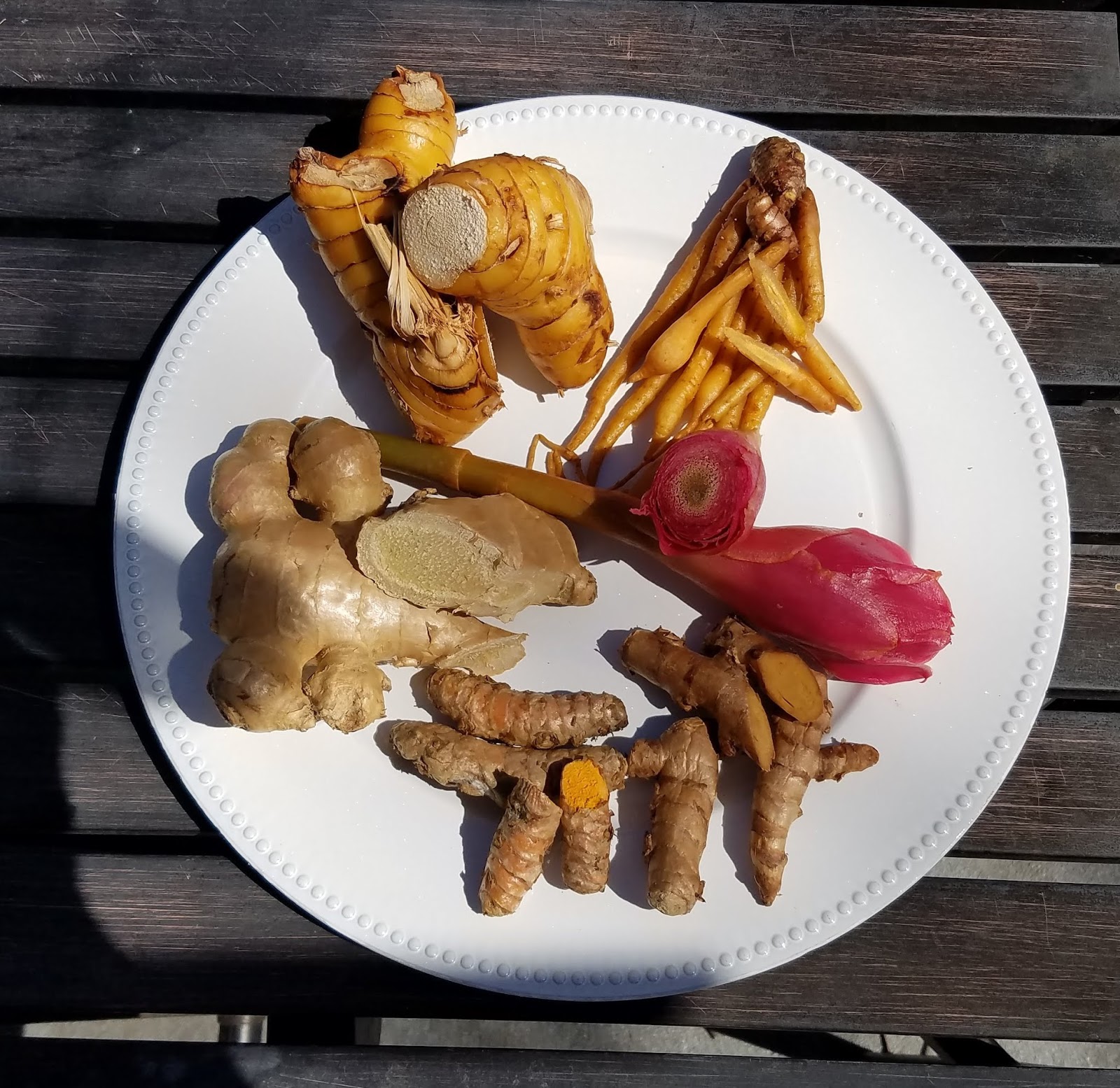 Ingredients: The Ginger Family ~ Preesi ... Food Whore