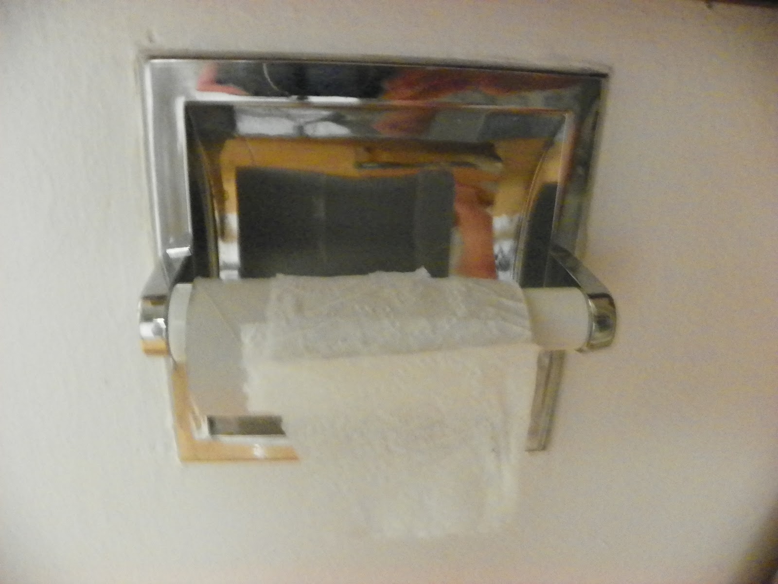 Extraordinary Elsie: The Eskie-poo Pup