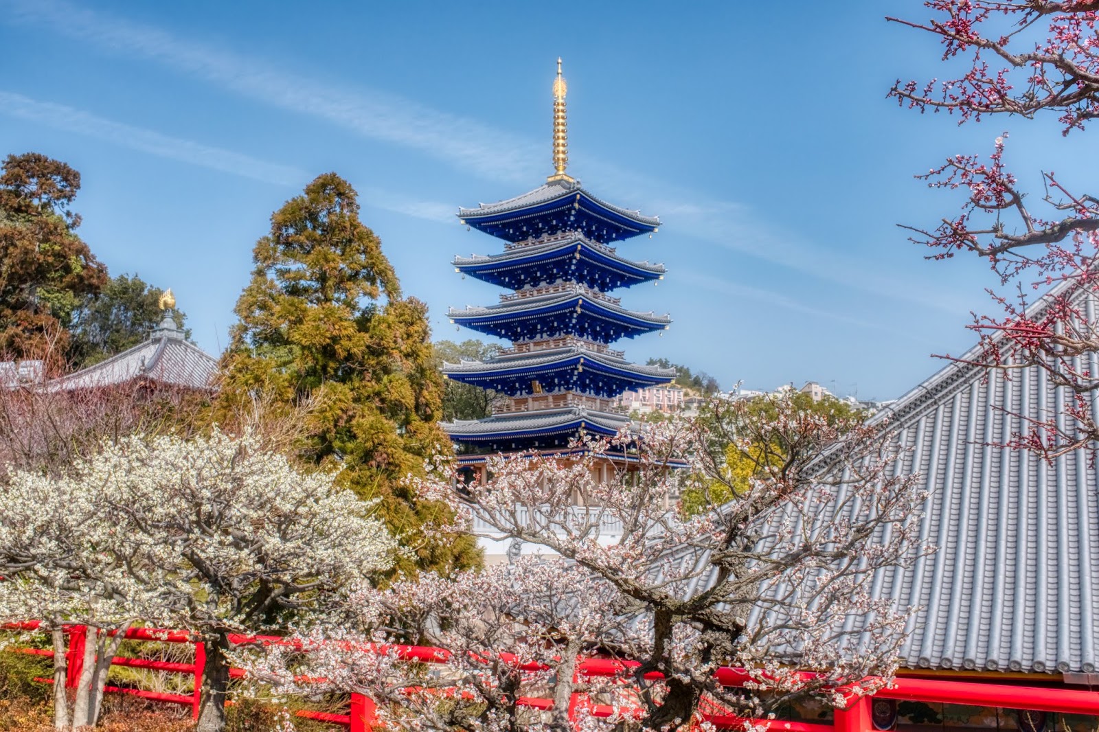 Somewhere, somehow: Plum Garden in Nakayama Temple, Takaradzuka City ...