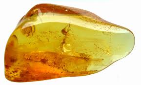 CORDILLERAS DE LA REPUBLICA DOMINICANA: Cordillera Oriental