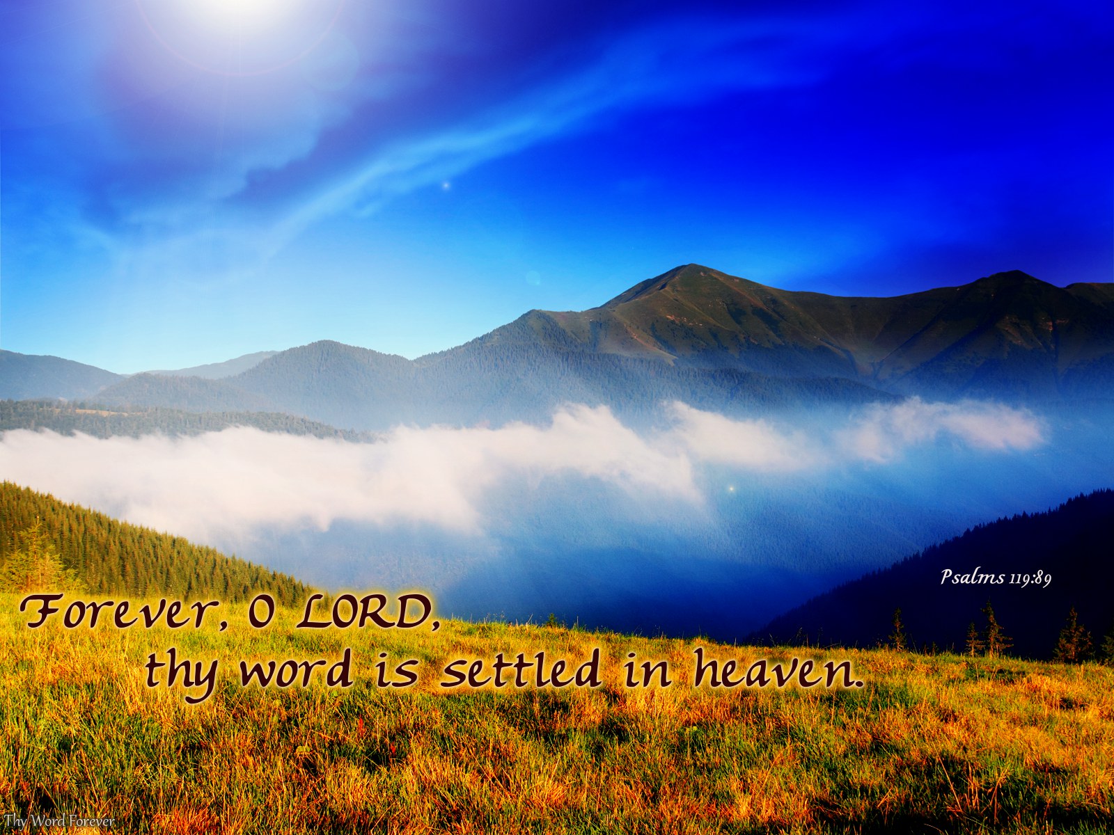 His Holy Hill Psalm 119 89 96 His Holy Hill Psalm 119 89 96