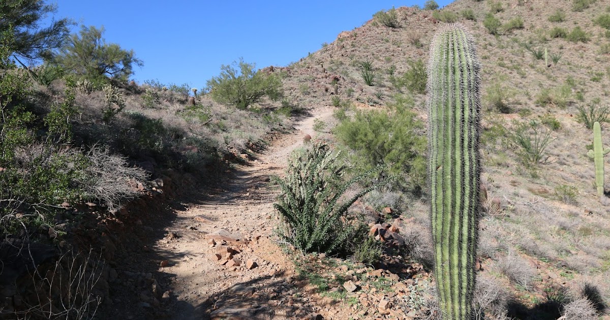 gjhikes.com: Dixie Mountain Loop