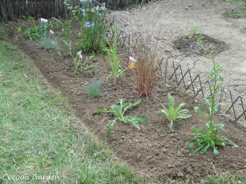 Cocoon Garden: Bordure potager