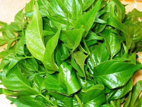 Aron Kin 2013 - Missy Vs Missing : Sayur dan Ulaman dari Kebun Bonda