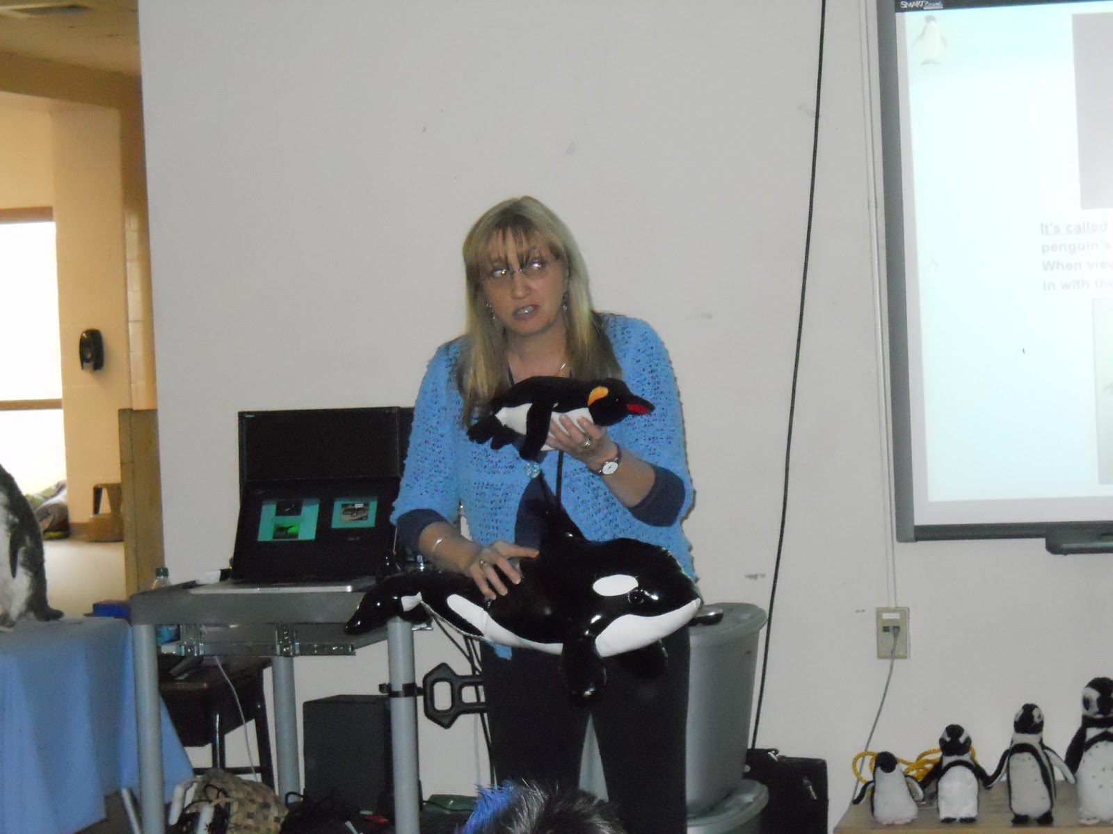 First Things First: The Penguin Lady