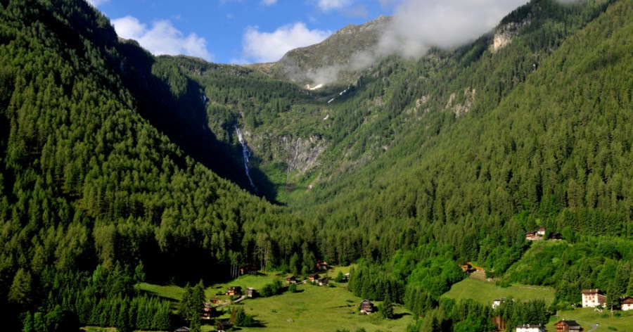 Val di Rabbi dove la natura batte il denaro | Atlante del gusto sostenibile