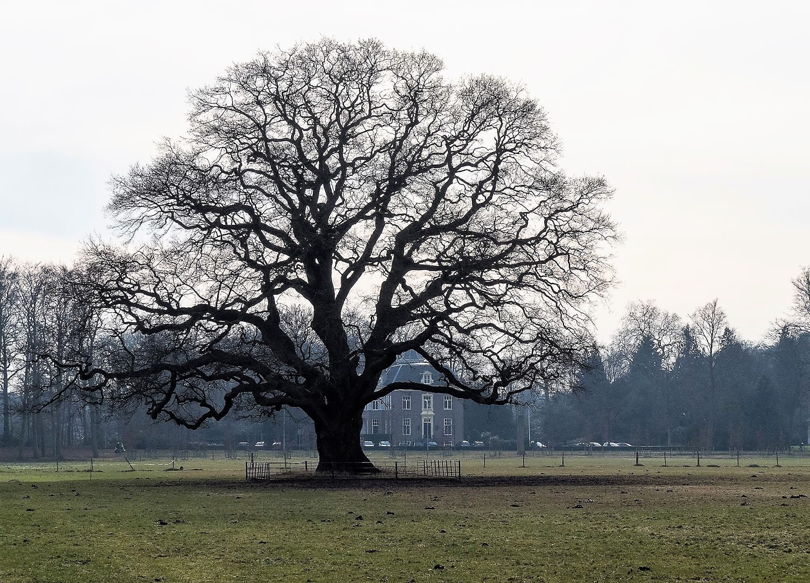 Mooiste Routes: Buiten Bussum (Bussum - Noord-Holland)