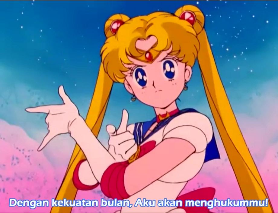 Sailor Moon Promise of The Rose