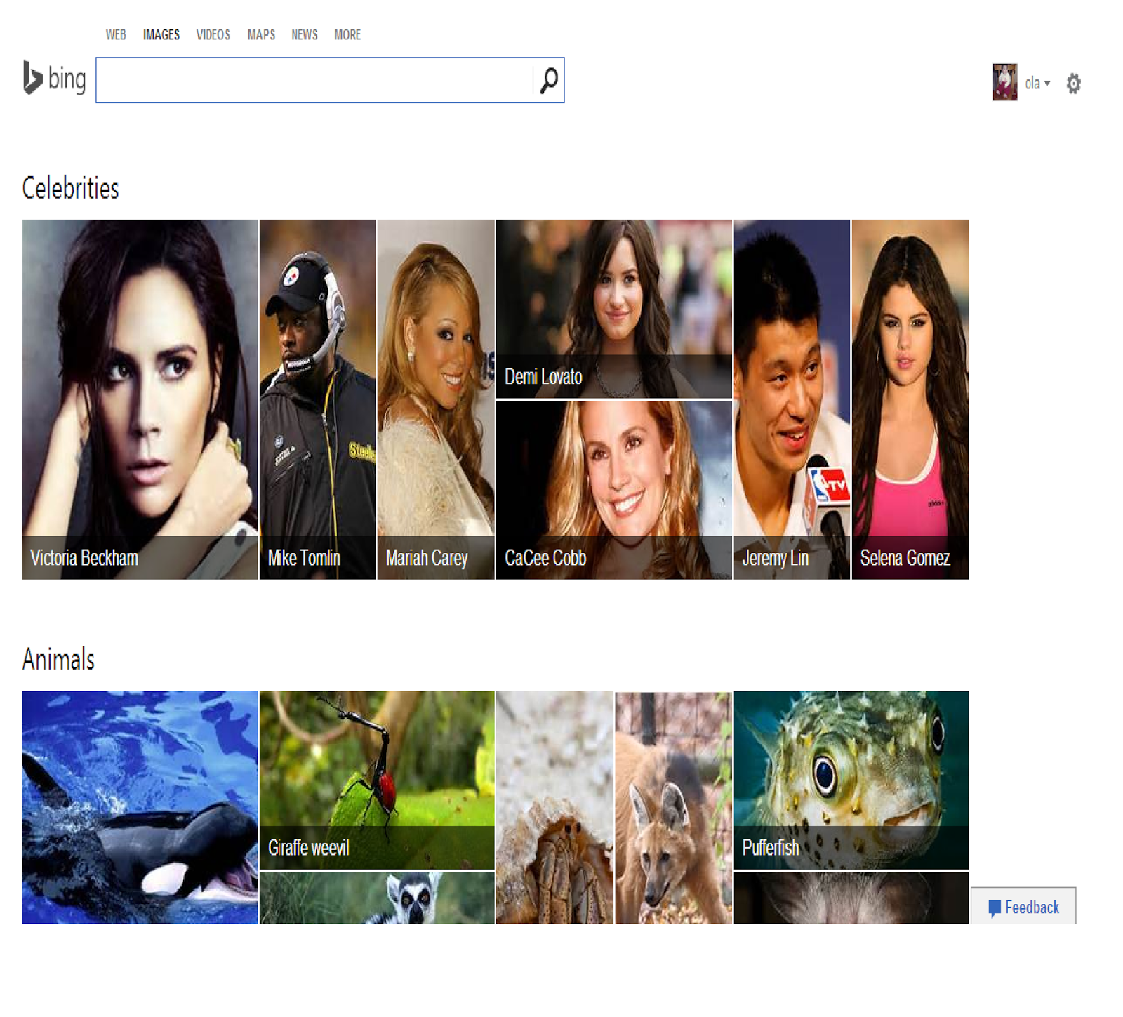 قائمه بمحركات البحث المتخصصة: محركات بحث Bing