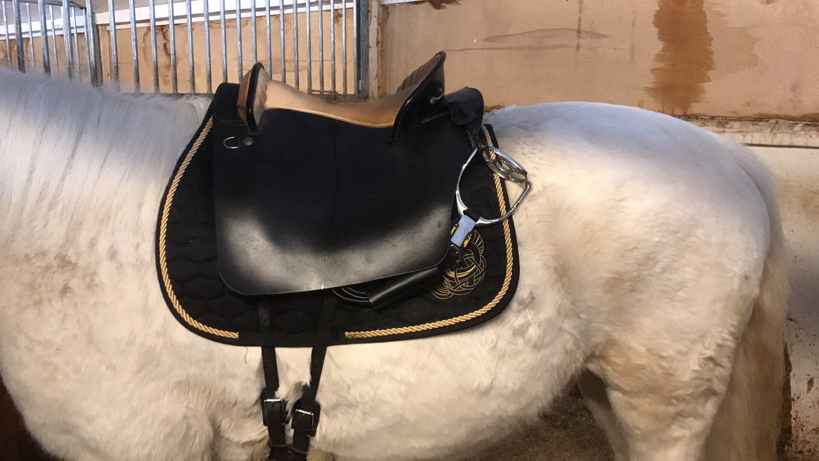 Nånn & Nokke: Min sadel