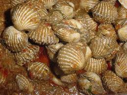 Petak Semai: TERNAKAN KERANG