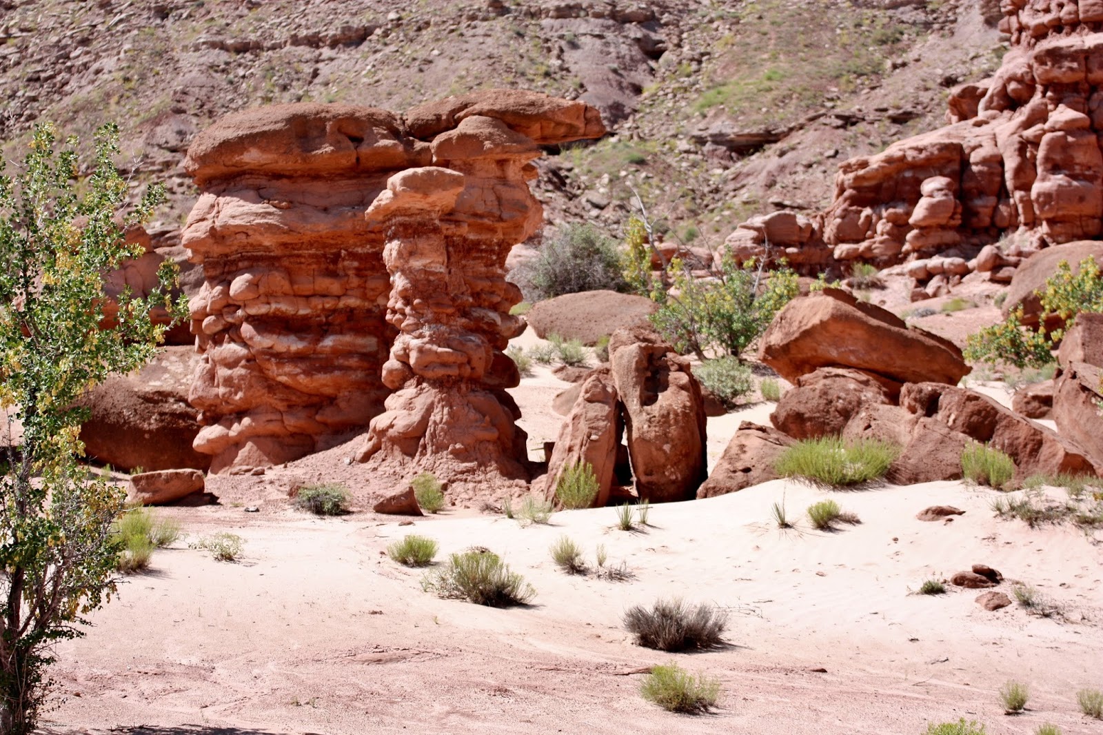 The Southwest Through Wide Brown Eyes: Recapture Pocket, a Hoodoo ...