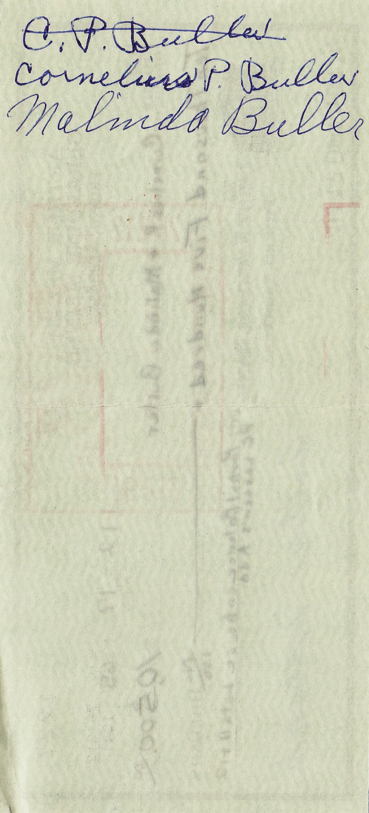 BULLER TIME: Family historical documents