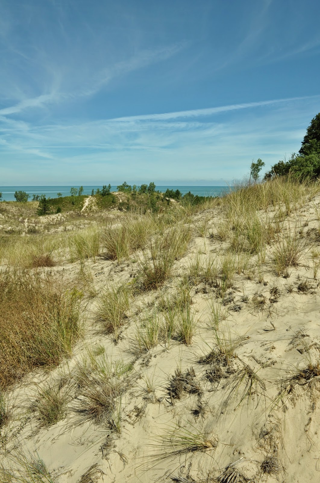 Pleasurable Pursuits: Indiana Sand Dunes