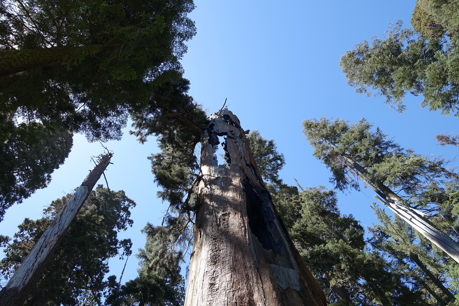 Java 生活紀錄: Hanging Rock at the Sequoia National Park