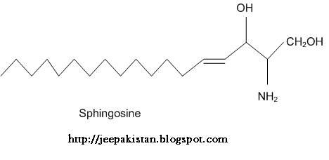 Sphingosomes and sphingolipids