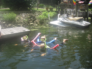 US 19: Manatee Hunting - Great Florida Road Trip