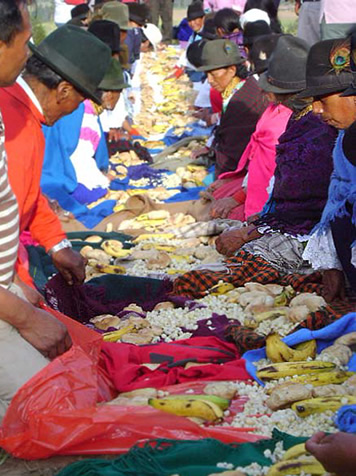 LA COMUNIDAD DE ZULETA: ZULETA UN LUGAR INOLVIDABLE.