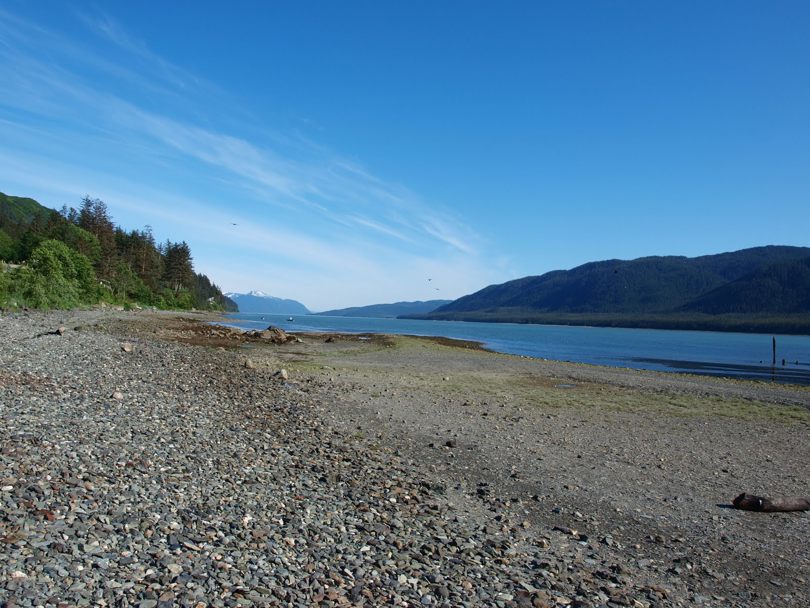 Lucky Alaska: 10. Juli