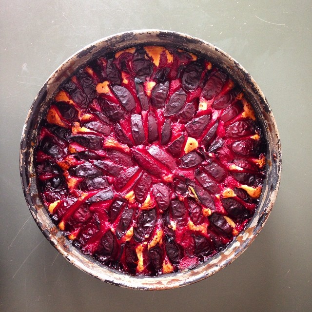 rua dos tucanos: Tarte de abrunhos