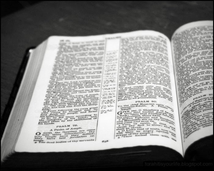 It Is Your Life: Reading Through the Scriptures