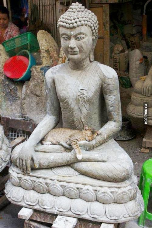 I Have Seen The Whole Of The Internet: Buddha Buddies