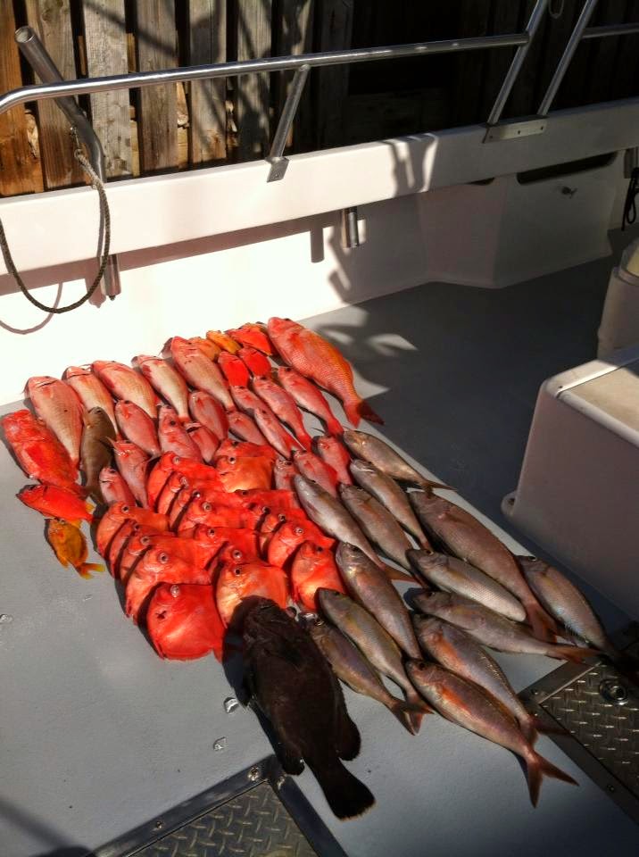 Maui Fishing Charters - Today's Fresh Catch: June 2014