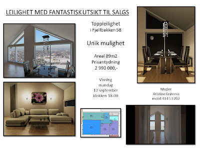 Kristine i en verden av 3D :-): Visualisering 3D Studio Max