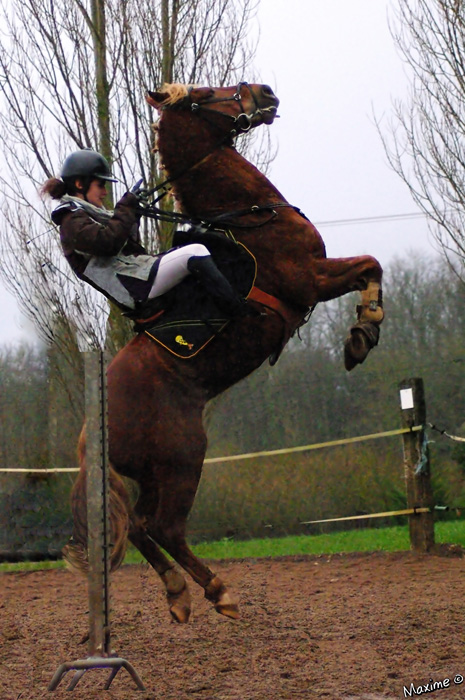 Soon a horse: Les chutes en équitation