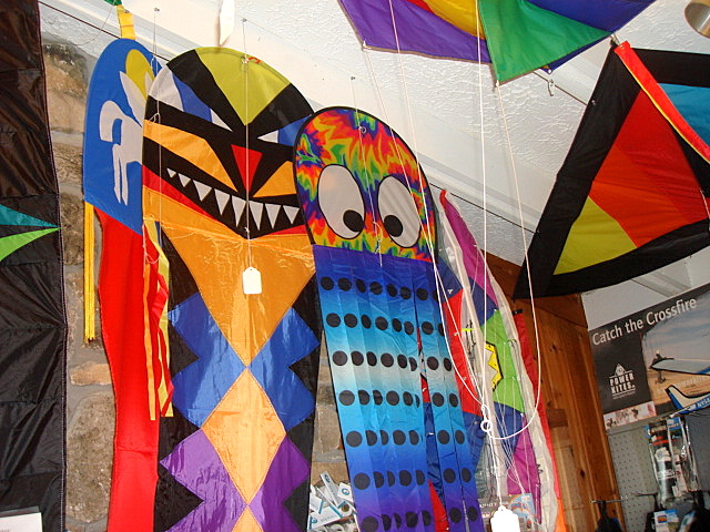 Going Place Seeing The World: A Kite Store, Door County, Wisconsin