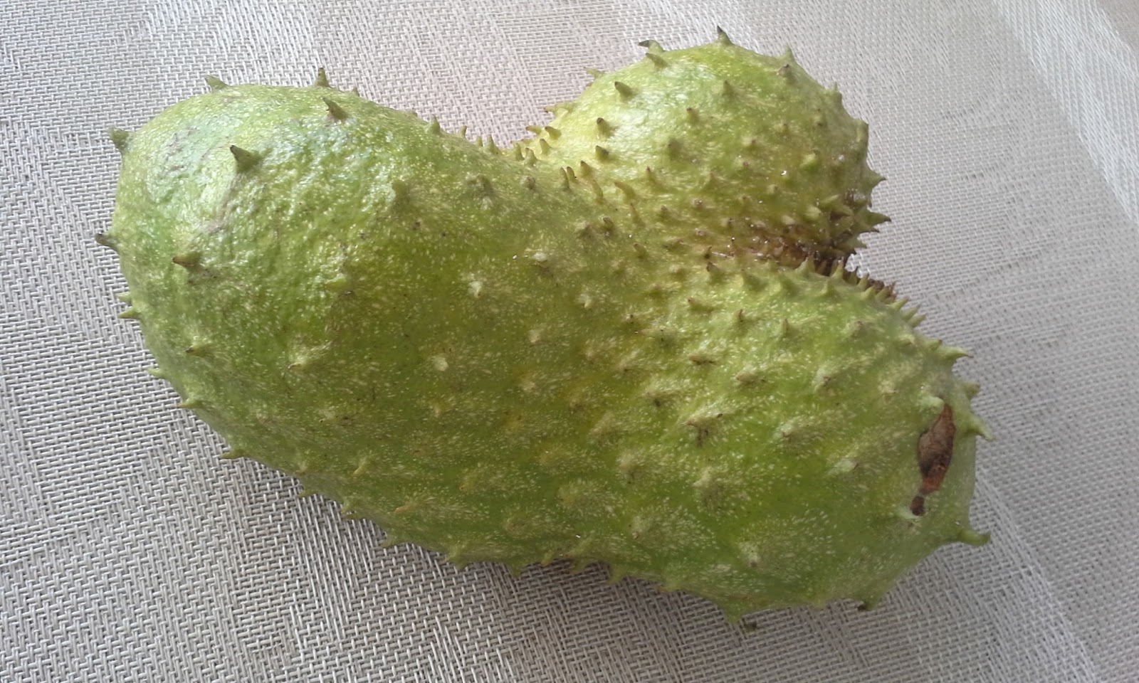 So Very Very Thankful: Soursop Punch