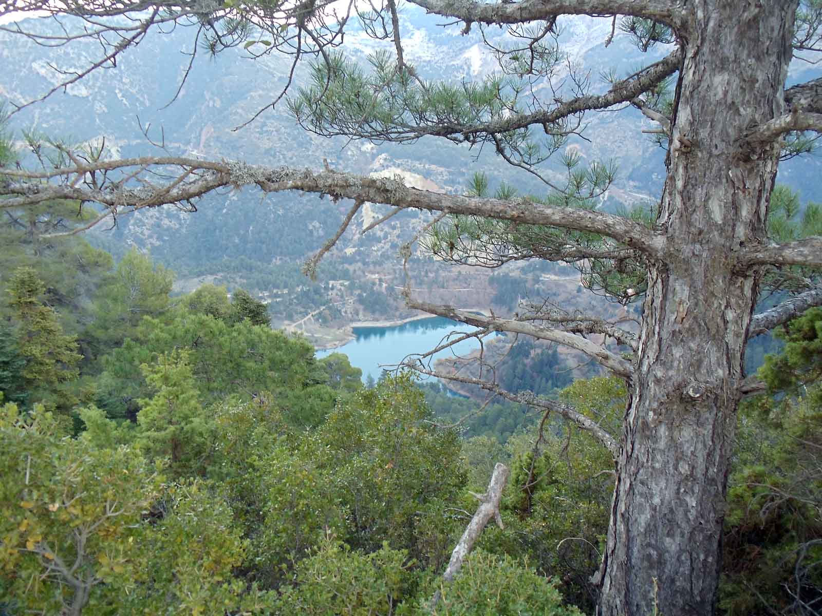 Με τον ΦΟΠ στα βουνα: ΧΕΛΜΟΣ - ΜΕΓΑ ΣΠΗΛΑΙΟ - ΛΙΜΝΗ ΤΣΙΒΛΟΥ