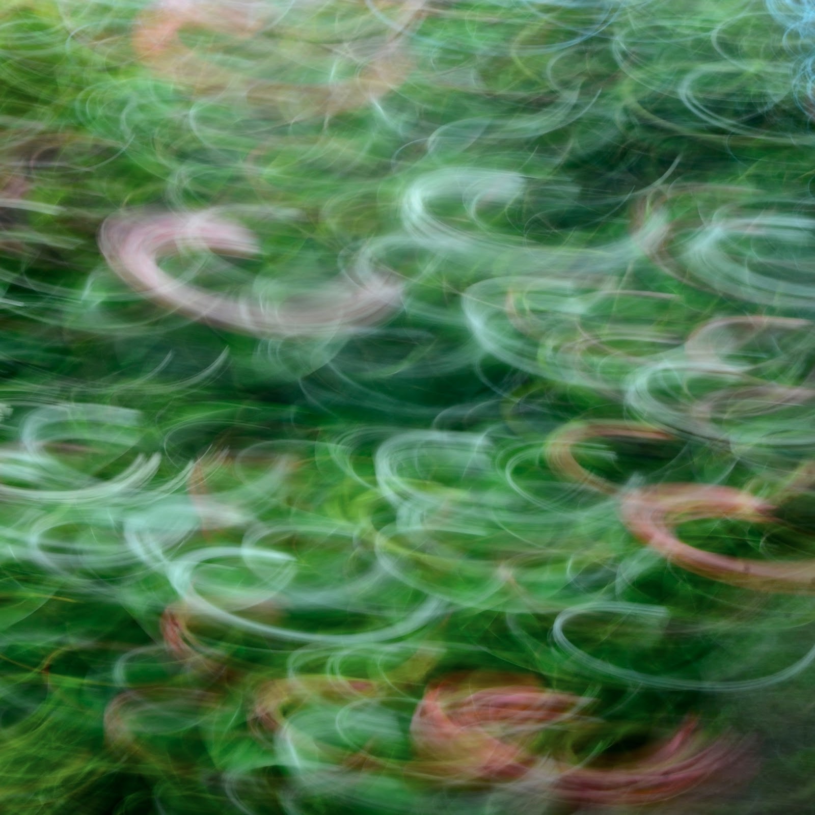 Max Rumaner's Photo Extravaganza