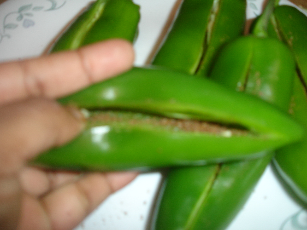VineelaSiva: Cut Mirchi