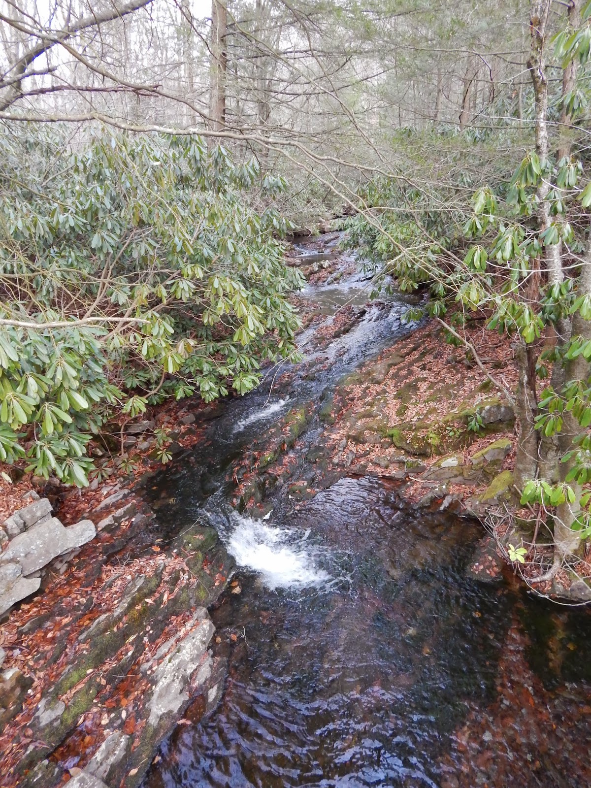 Those Who Wander: Hawk Falls Trail