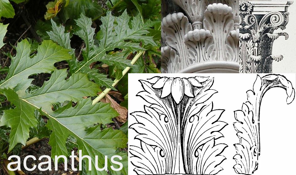 Shades of Grey: LIGHTWEIGHT SCALABLE CORINTHIAN