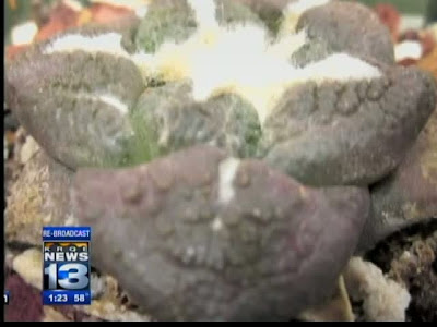 Please enable JavaScript