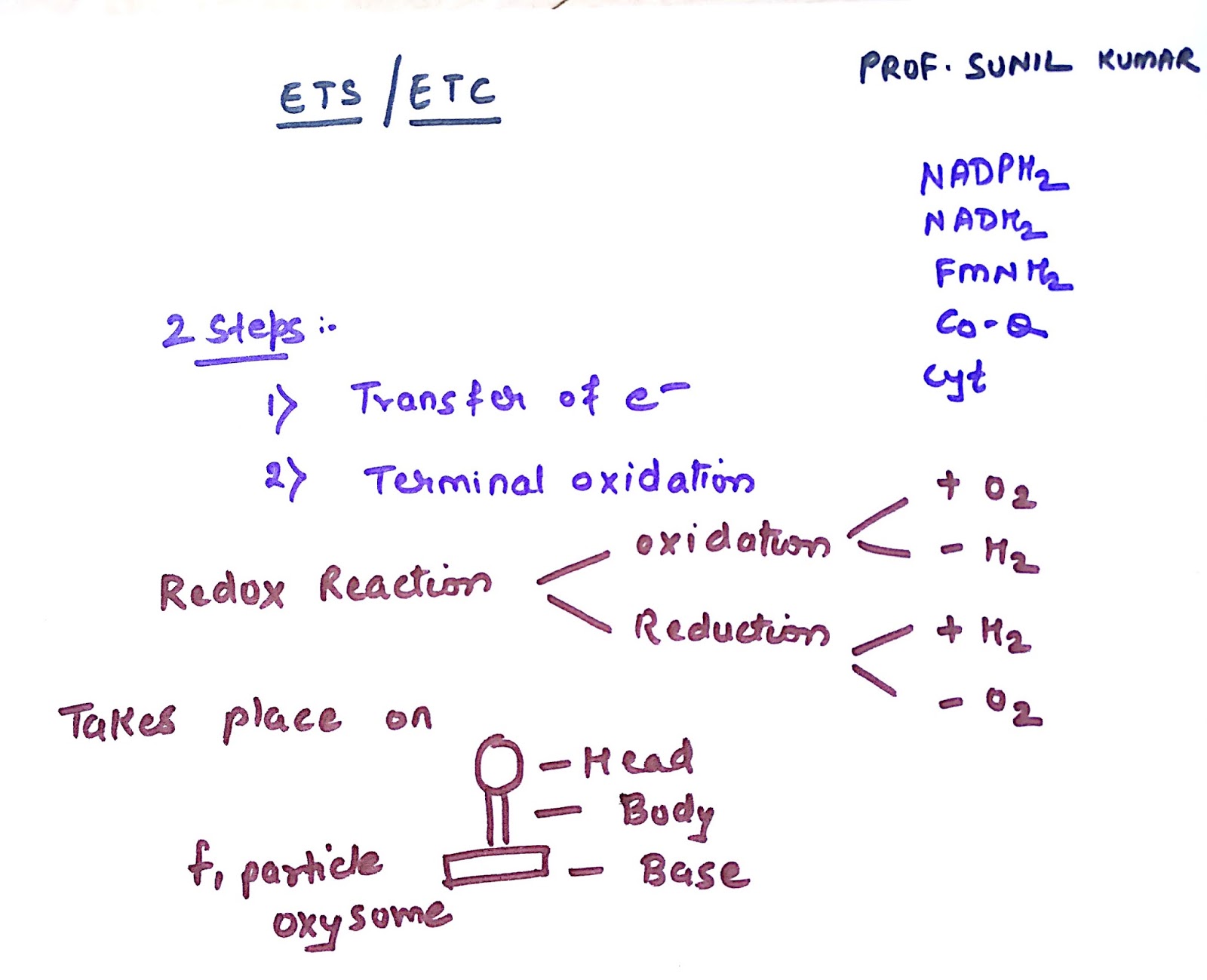 PROF. SUNIL KUMAR'S ADDABIOLOGY : EASY WAY TO DRAW ETS