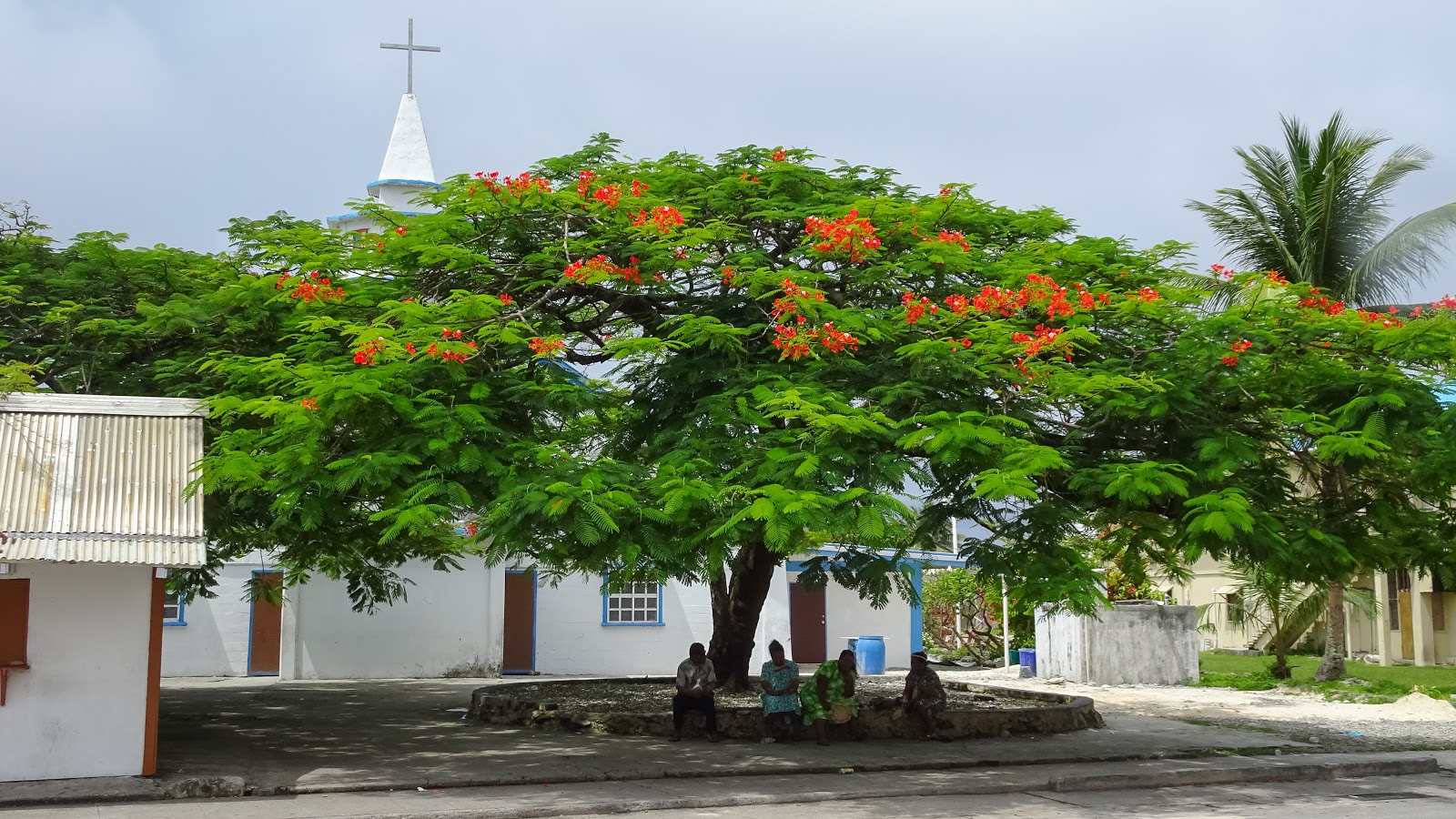 Marshall Islands - The plane below - Sven's Travel Venues