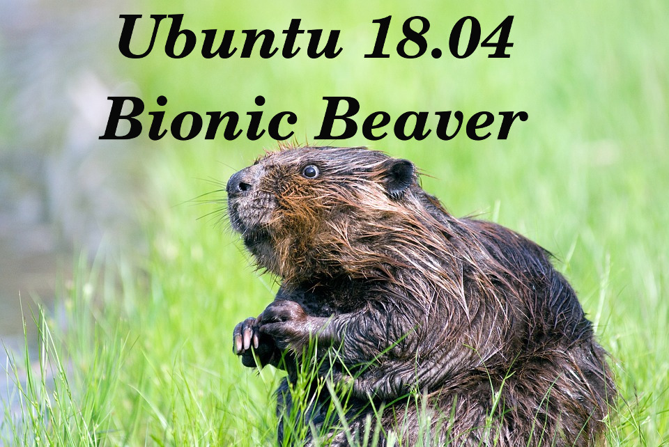 I love ubuntu!: UBUNTU 18.04 BIONIC BEAVER WALLPAPERS!!!!