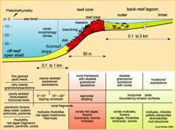GEOLOGY IS THE STUDY OF THE EARTH AS A WHOLE: LINGKUNGAN PENGENDAPAN ...