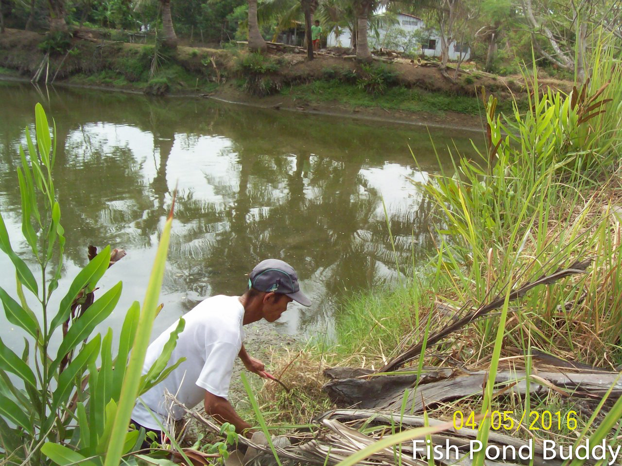 Fish Pond Buddy: Fish Farm Activities