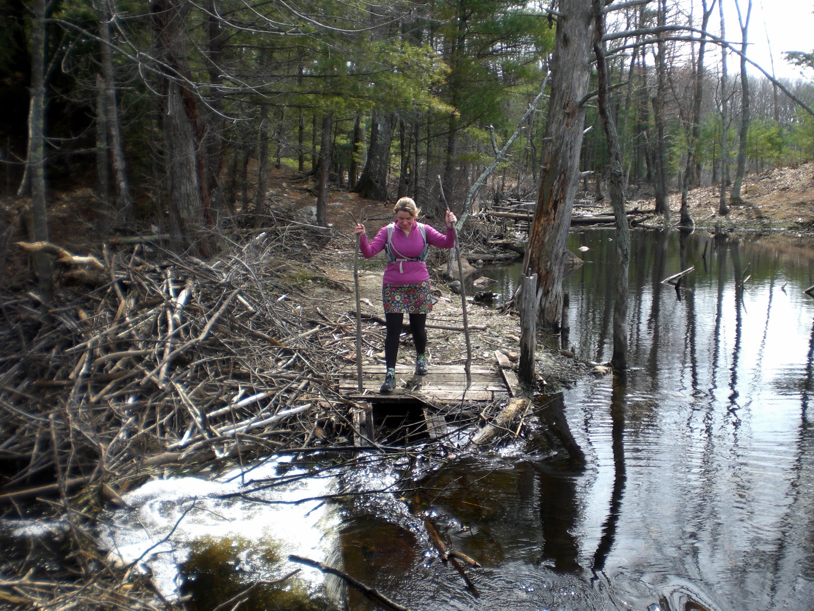 Breakheart Trail Running: Bay Circuit Trail Run, Section 2 - Boardwalks ...