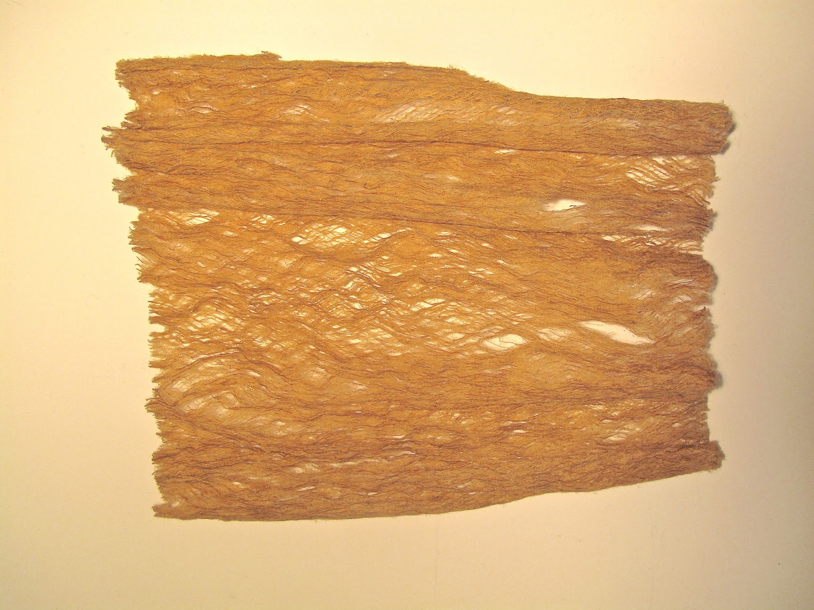 Sustainable Design: Material Research: Tree Bark Cloth