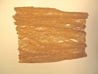 Sustainable Design: Material Research: Tree Bark Cloth