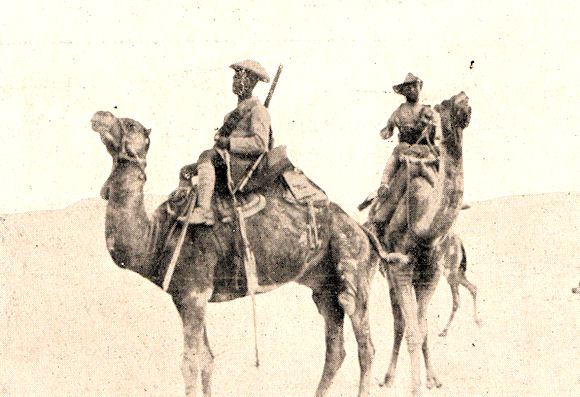 Roads to the Great War: The Imperial Camel Corps