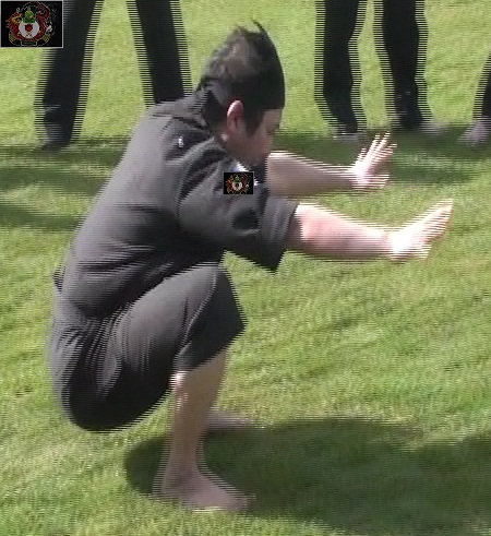 MY JOURNEY: Tenggiling Anak Harimau - The Training Concept.