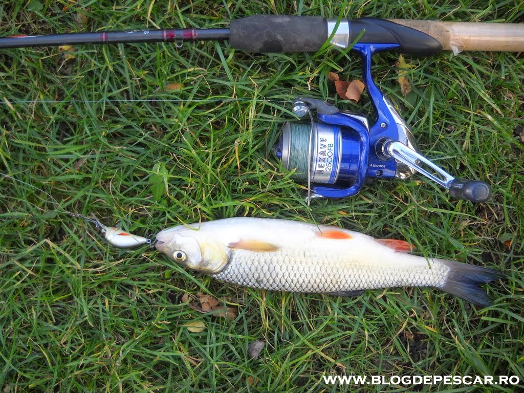 Pasiunea Pescuitului: Pescuitul Cleanului Primavara