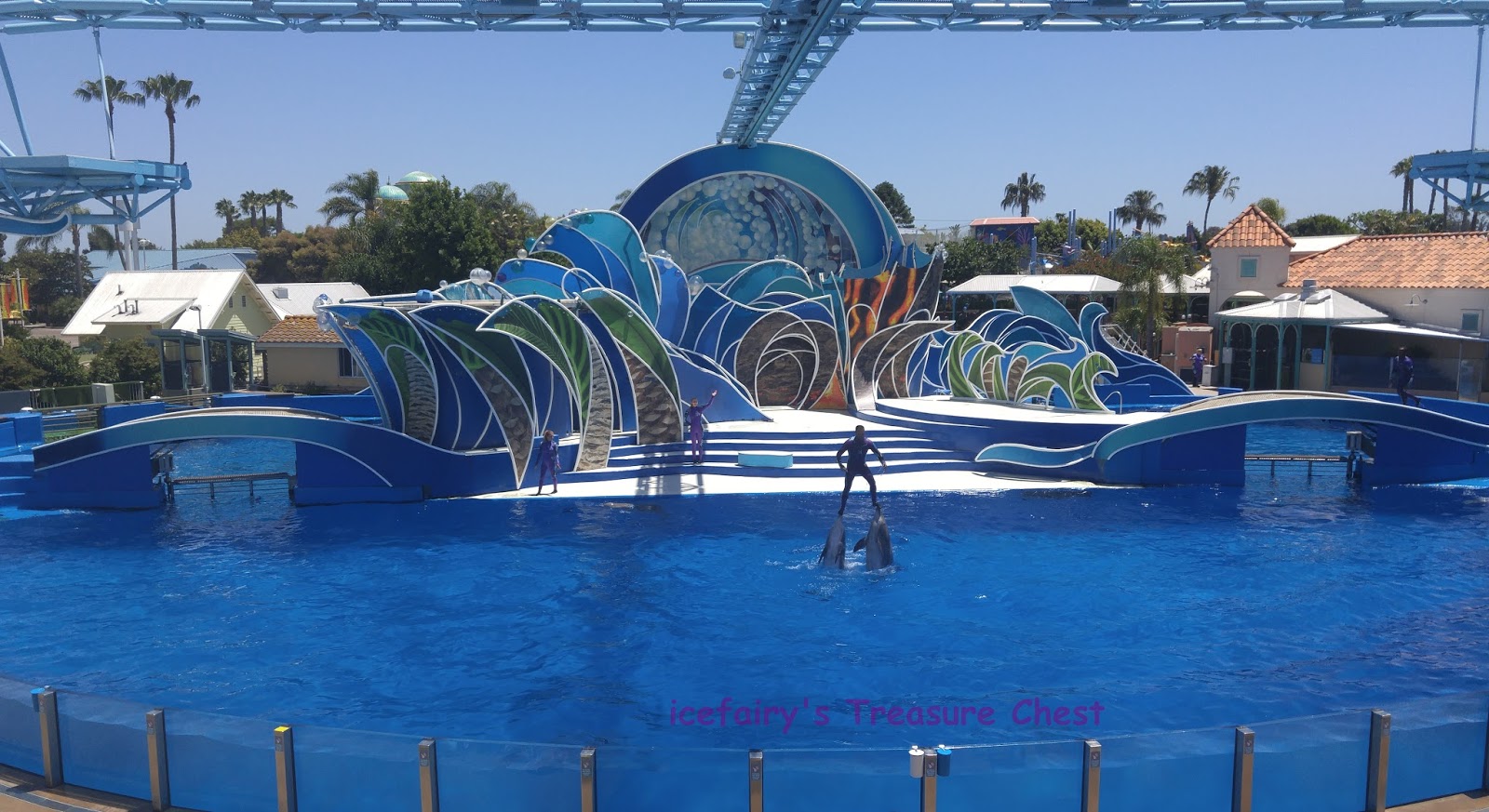 Go Behind the Scenes of New Attractions at SeaWorld & Family Four Pack ...